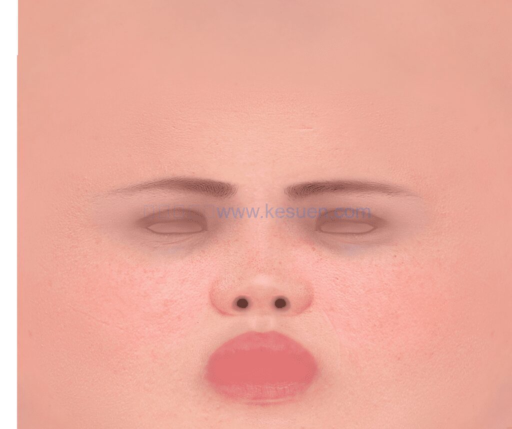 【VAM资产】 Skin 高清皮肤预设（最新）-VAM®克苏恩资源社区